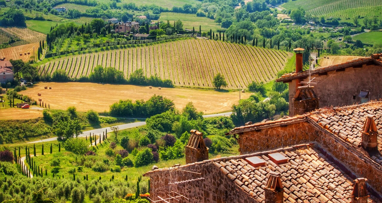 Orvieto Wine Tasting Tour from Rome, Italy - Stefano Rome Tours